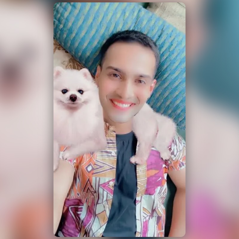Pomeranian Dog Lens by Snapchat - Snapchat Lenses and Filters