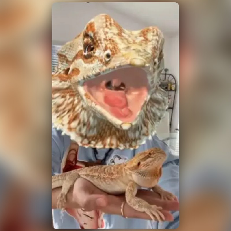 Bearded Dragon Filter by CyreneQ | Snapchat Lenses