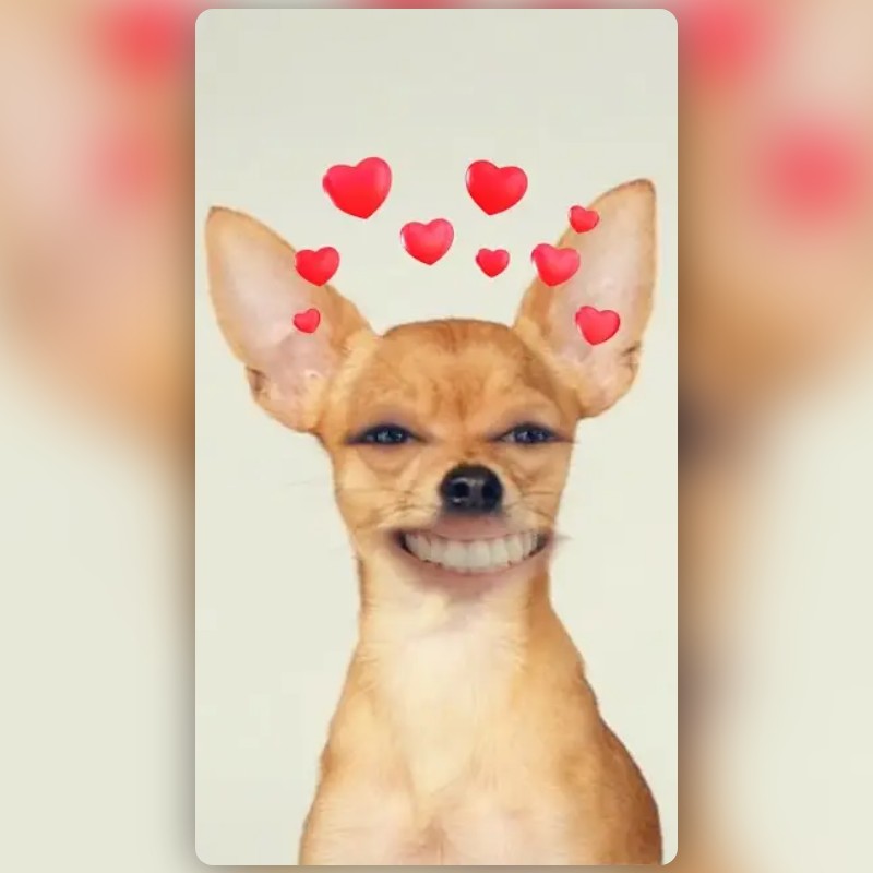 Puppy in Love Lens by Snapchat - Snapchat Lenses and Filters