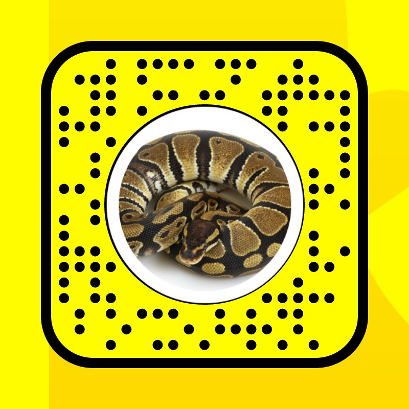 Ball Python 3D Filter by abo0od_sy1 | Snapchat Lenses