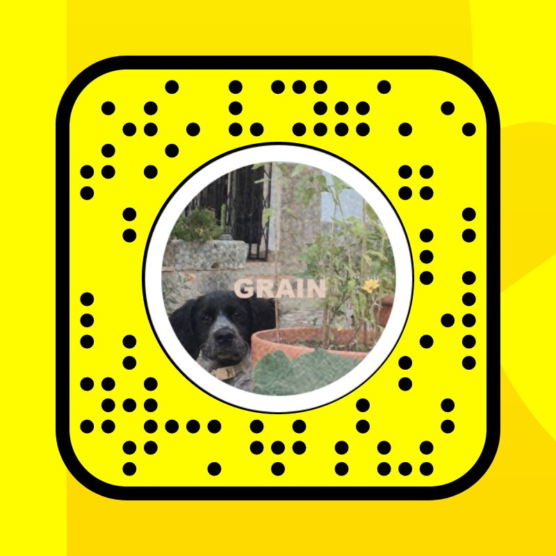 Monica - grain Lens by alina🦫 – Snapchat Lenses and Filters