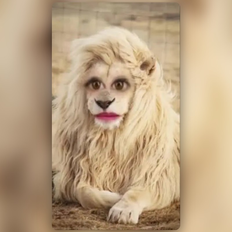 white lion Filter by Alysha A | Snapchat Lenses