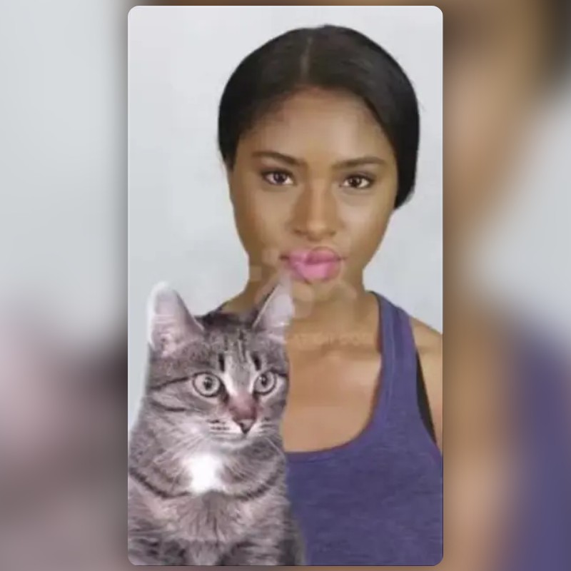 Purrnelope Sailor Lens by Chicken Nuggets - Snapchat Lenses and Filters