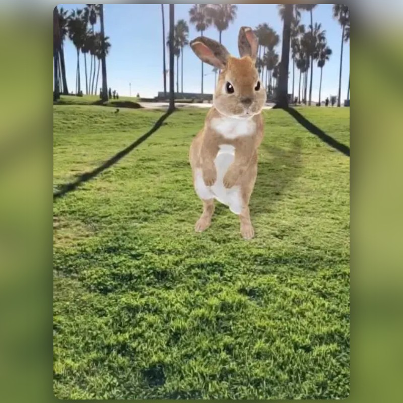 Dancing Bunny Filter by Snapchat | Snapchat Lenses