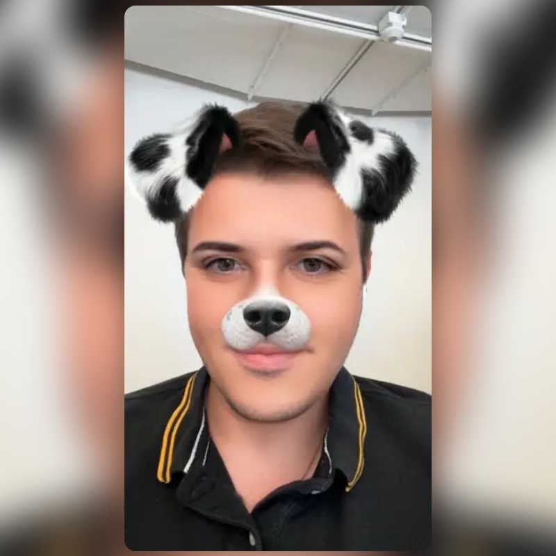 Dalmatian Ears Lens by Snapchat - Snapchat Lenses and Filters