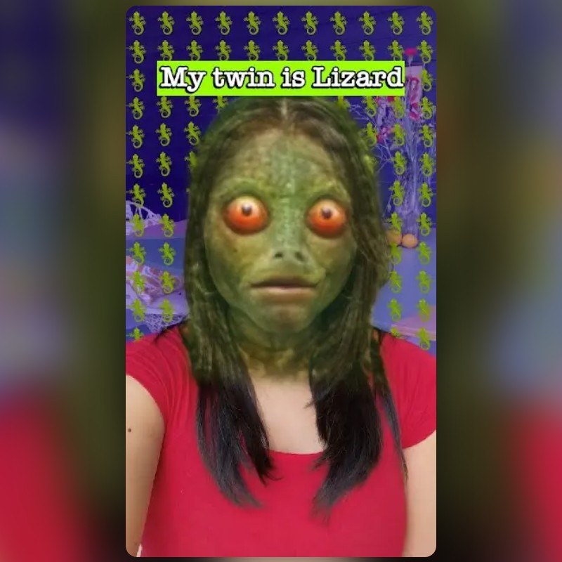 Animal Twin Filter by Snapchat | Snapchat Lenses