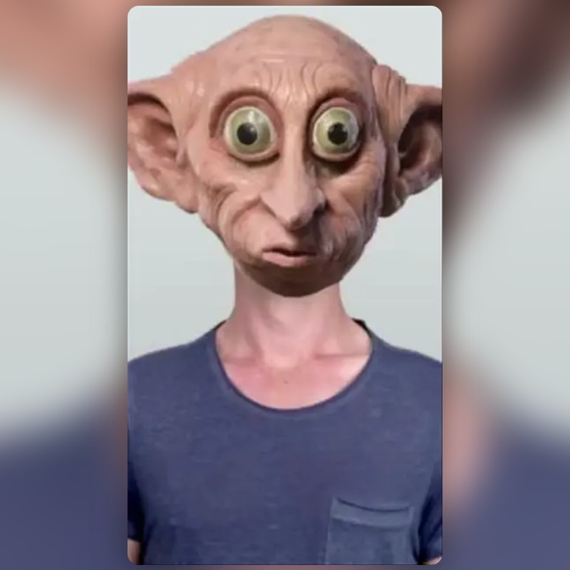 Dobby Filter by Man Like Mac | Snapchat Lenses