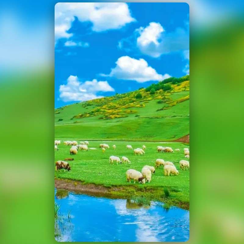 garden Lens by منيرة العتيبي - Snapchat Lenses and Filters