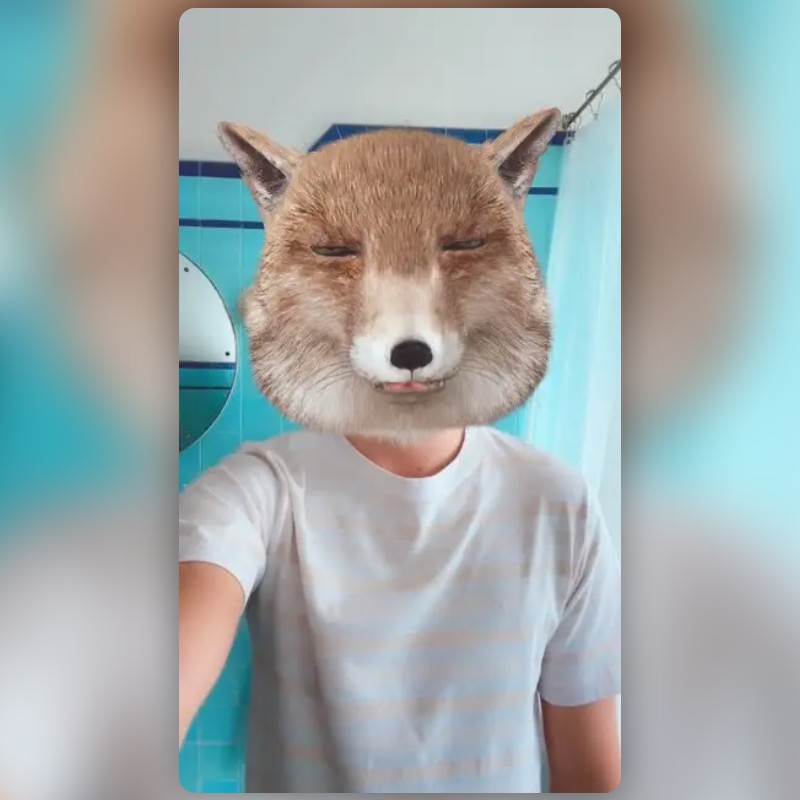 Fox Head Filter by Snapchat | Snapchat Lenses