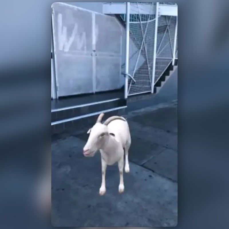 Goat Filter by BYE BYE FOREVER 💔 | Snapchat Lenses