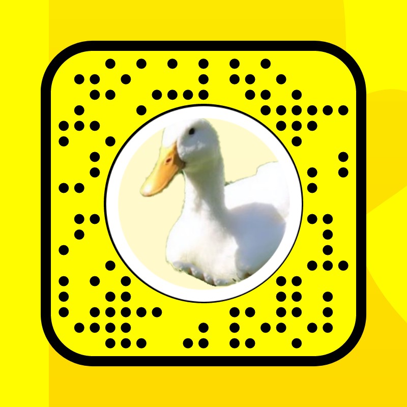 GILBERT SQUAD Lens by Maggie Limon - Snapchat Lenses and Filters