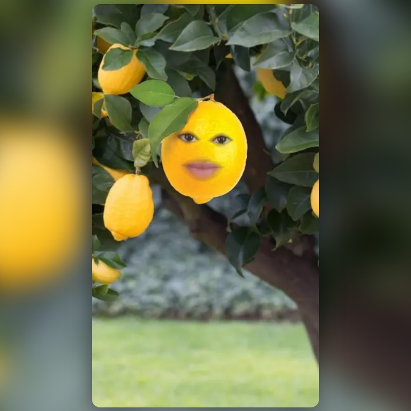 Lemon Lens by Morgan - Snapchat Lenses and Filters