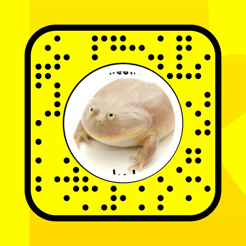Wednesday Frog Filter by Marshall | Snapchat Lenses