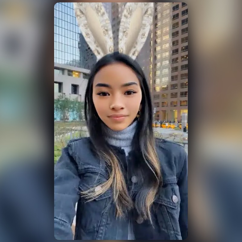 Fuzzy Bunny Ears Filter by Snapchat | Snapchat Lenses