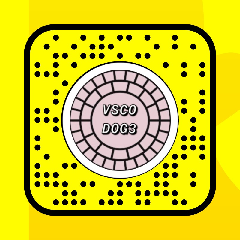 เลนส์ vsco dog3 สร้างโดย brady🧸 - เลนส์และฟิลเตอร์ Snapchat