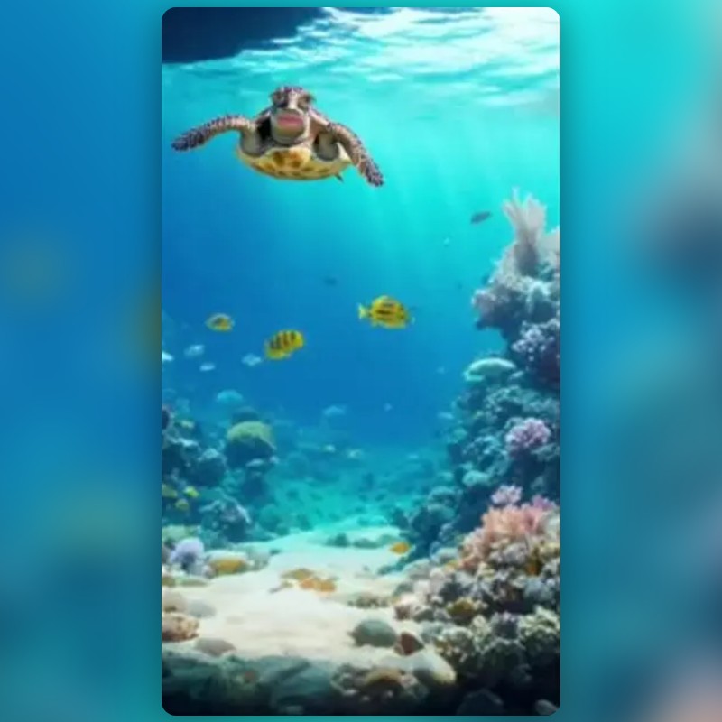 Turtle Filter by Bailey | Snapchat Lenses