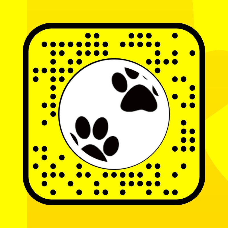 puppy Filter by sophie chalmers | Snapchat Lenses