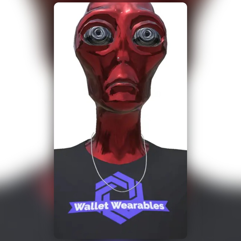 WalletWearablesVoi Filter by Gary Kaul Jr. | Snapchat Lenses