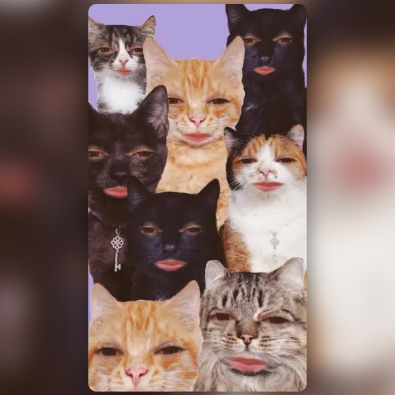 Cat's Song Lens by Snapchat - Snapchat Lenses and Filters