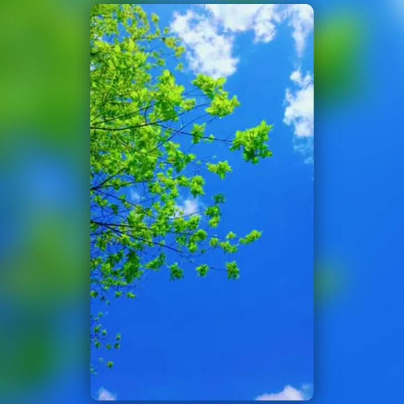 Nature Vibe G6 Lens By Jaber 🌟 Snapchat Lenses And Filters