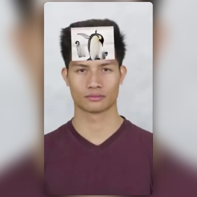 which penguin Lens by I Տ ᗩ ᗷ ᗴ ᒪ🧌 - Snapchat Lenses and Filters