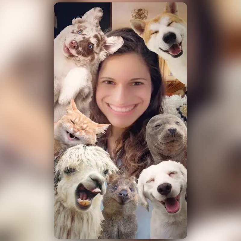 Smiling Animals Filter by Snapchat | Snapchat Lenses