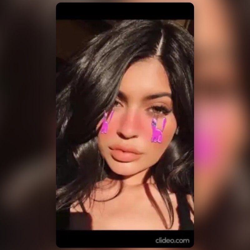 Pink Cat Blush Lens by Flora - Snapchat Lenses and Filters