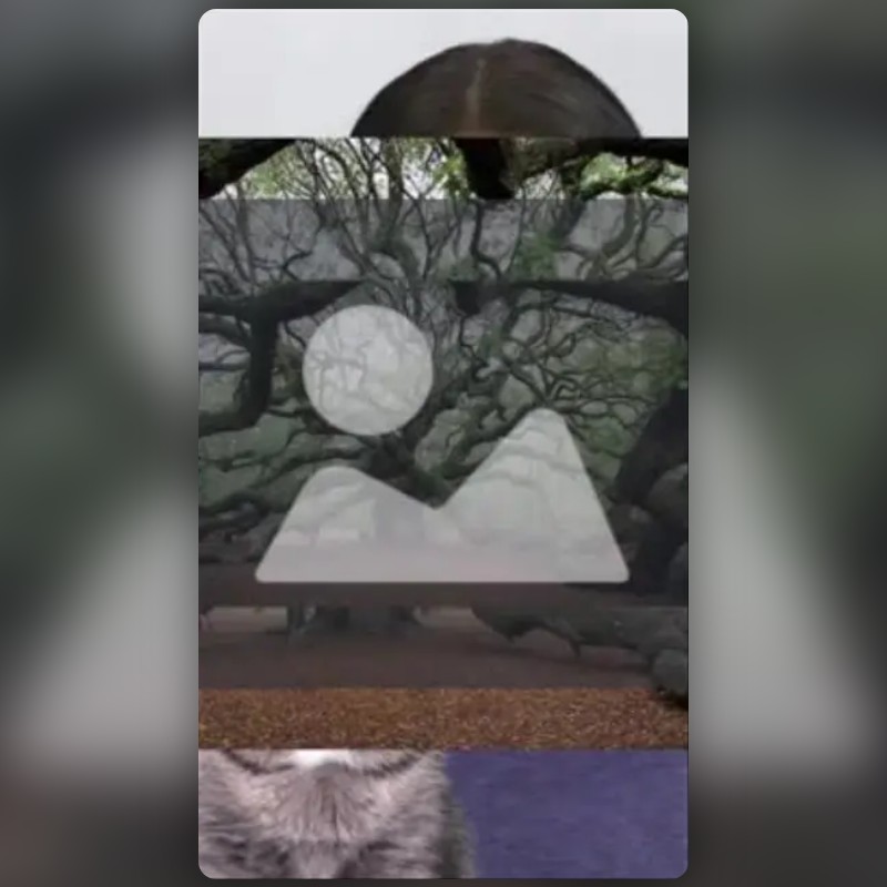 tree Filter by Timothy Witherspoon | Snapchat Lenses