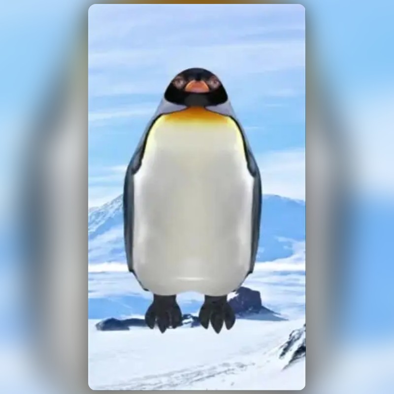PENGUIN Lens - Snapchat Lenses and Filters