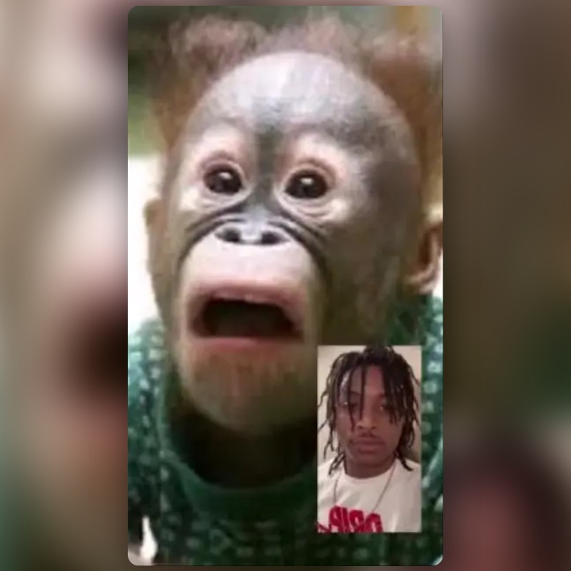 Shocked Monkey FT Filter by Sky 🕷️ | Snapchat Lenses
