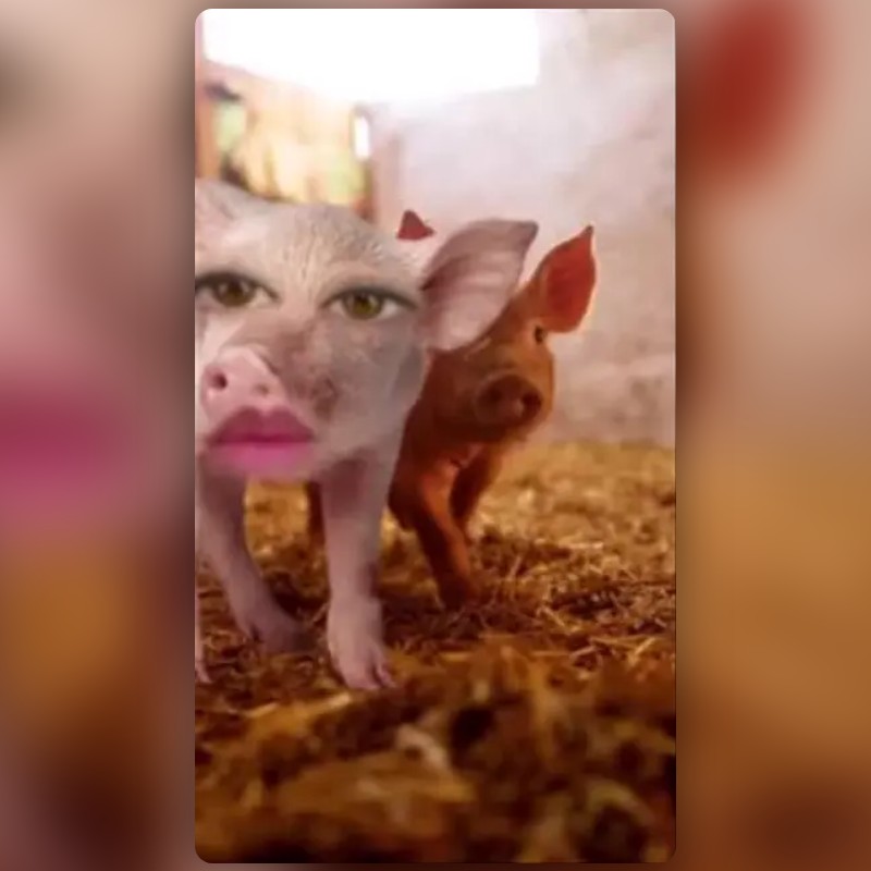 pig face Lens by Chania - Snapchat Lenses and Filters