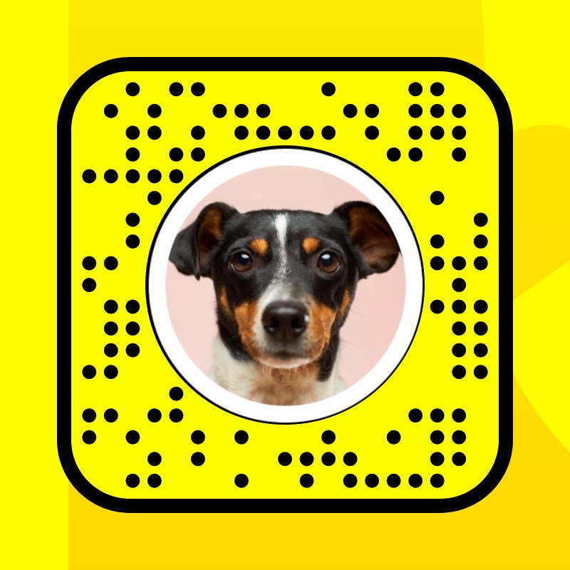 Dog Tongue Lens by hrupeshr - Snapchat Lenses and Filters