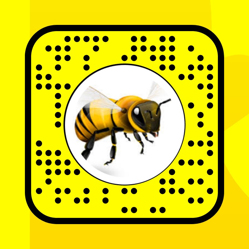 Bee Lens by Lucas - Snapchat Lenses and Filters