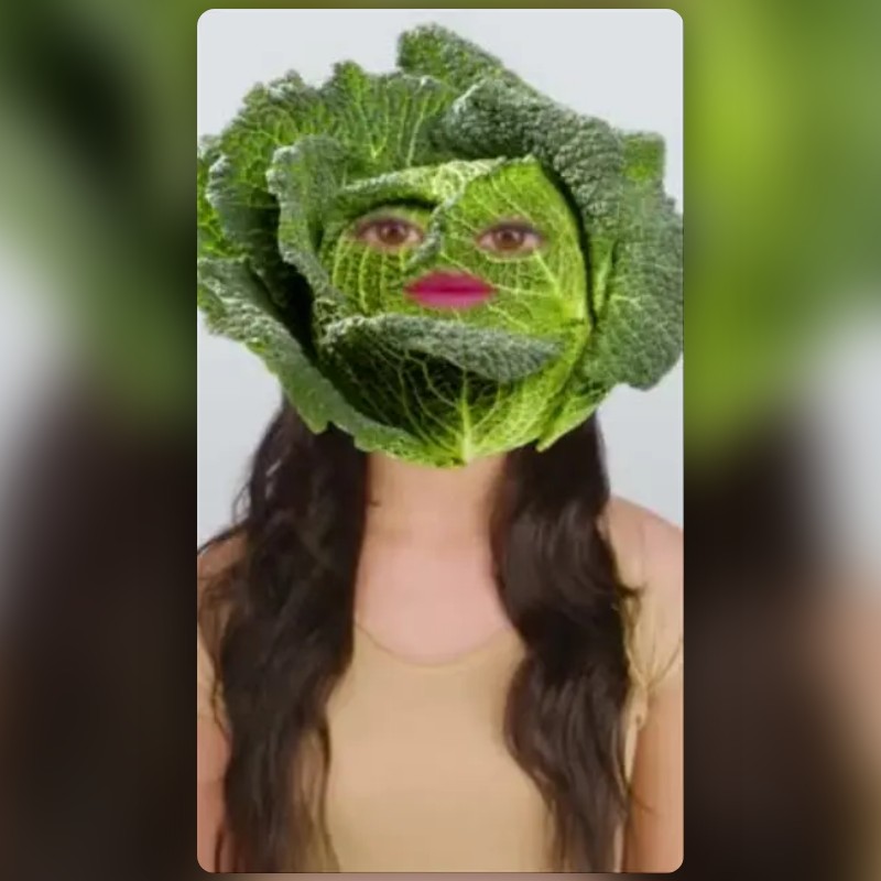 cabbage face Lens by Reinhard19 🦊 - Snapchat Lenses and Filters