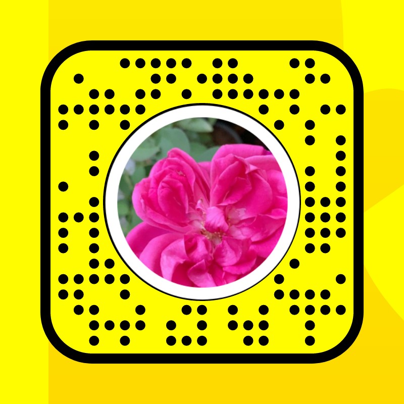 Untitled Lens by Jolly.1177 M - Snapchat Lenses and Filters