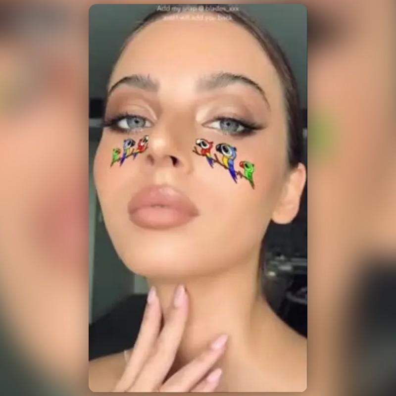 Cute Parrots Filter by Snapchat | Snapchat Lenses