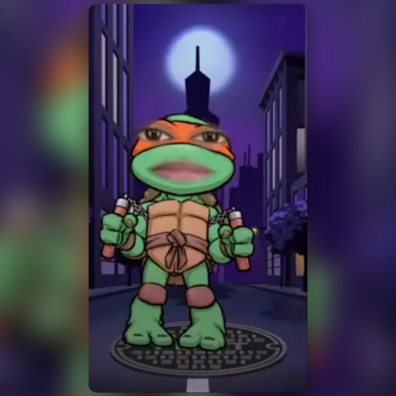 Ninja Turtle Lens by Rachel - Snapchat Lenses and Filters