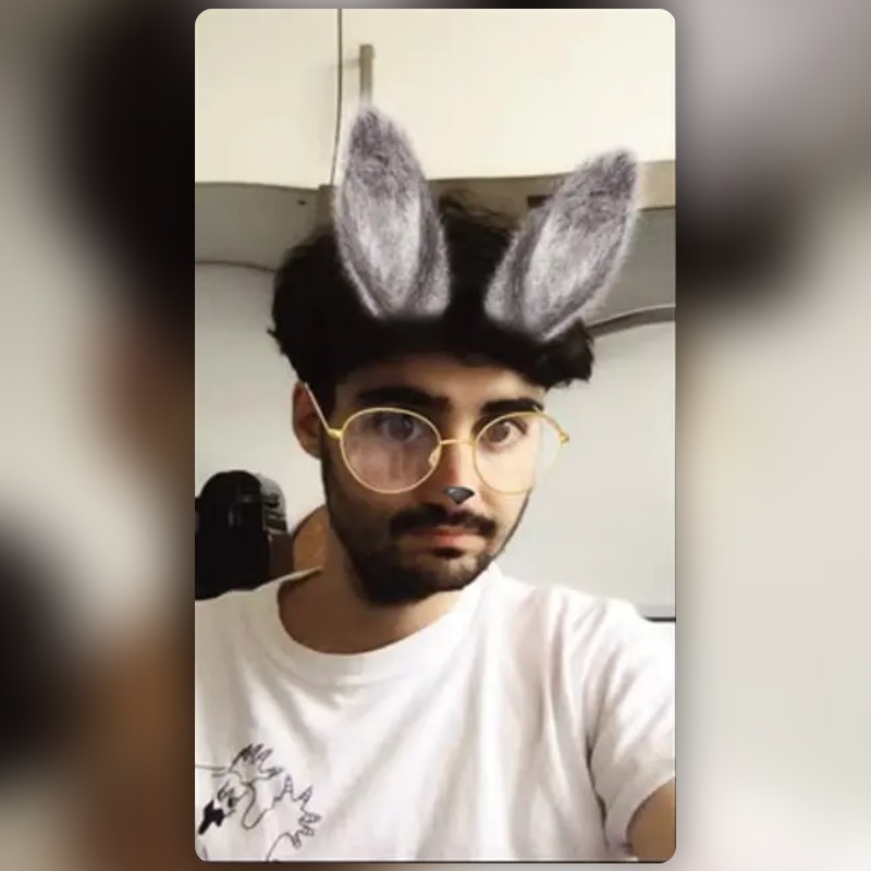 Grey Rabbit Filter by Peter Studio | Snapchat Lenses