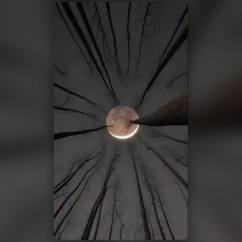 Night Moon Filter by Harshal Jariwala | Snapchat Lenses