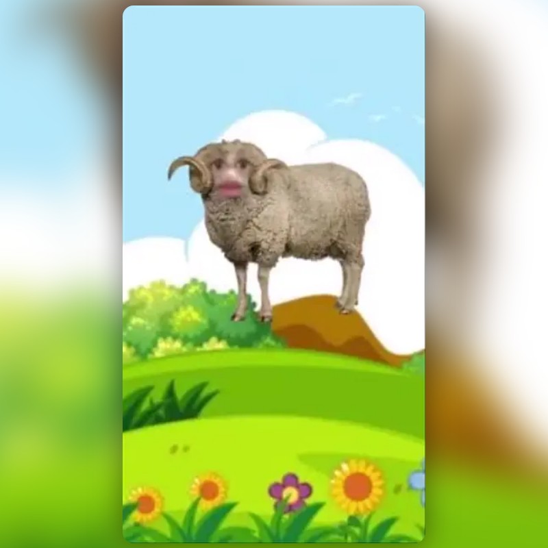 Sheep Face Lens by Anastasia Berliana - Snapchat Lenses and Filters