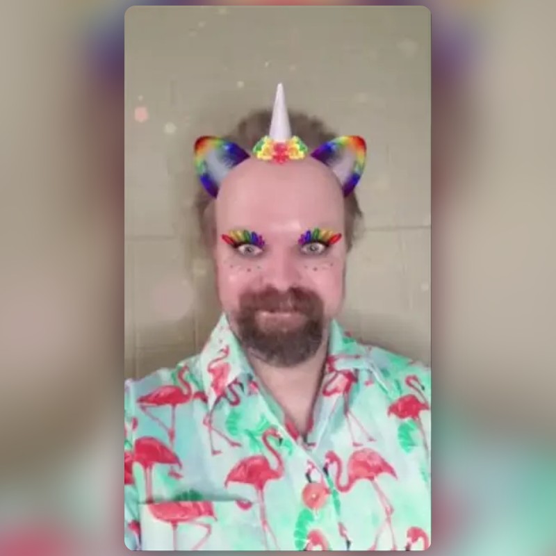 Fab Unicorn Filter by Matt Szulczewski | Snapchat Lenses