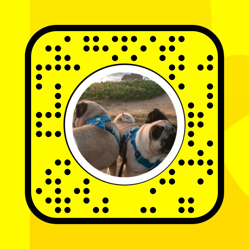LOLA KIMCHI MISO Filter by Olivia Gil de Bernabe | Snapchat Lenses