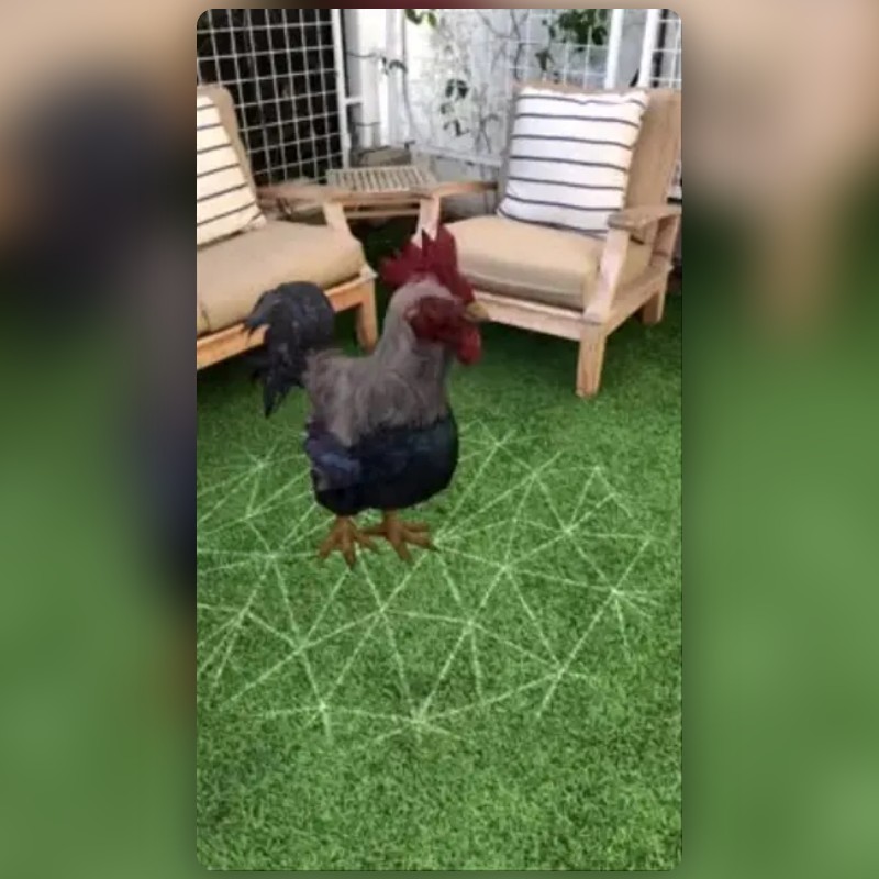 Chicken walk Lens by Snapchat - Snapchat Lenses and Filters