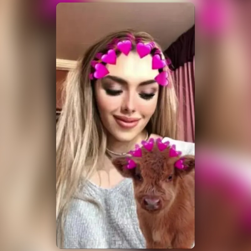 Fluffy Cow Lens by Melissa Farías - Snapchat Lenses and Filters