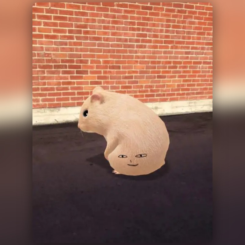 Hamster Filter by Snapchat | Snapchat Lenses