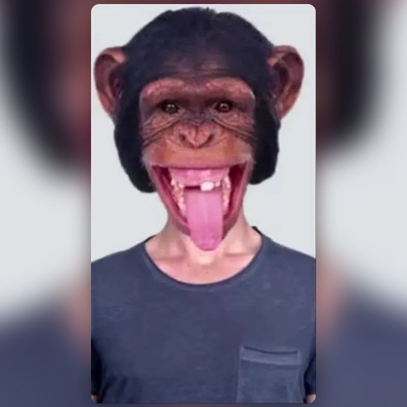 Monkey Face Filter by Leoni Angela | Snapchat Lenses