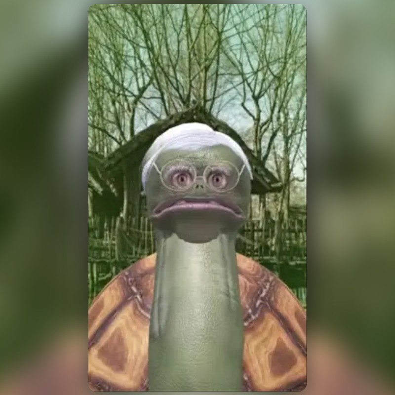 Grandpa Turtle Lens by Phil Walton - Snapchat Lenses and Filters