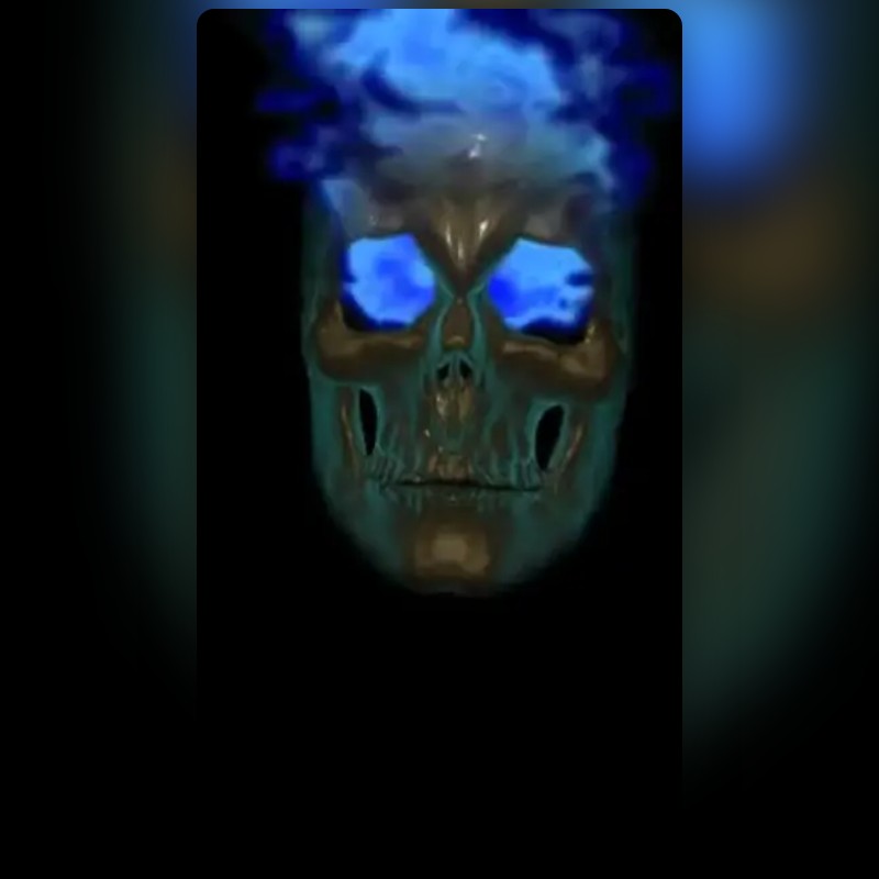 Skull Face Filter by Ben | Snapchat Lenses
