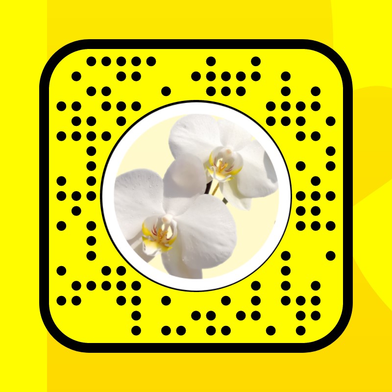 Fe Aman Allah Filter by ᑎᗯᗴᗴᖇ | Snapchat Lenses