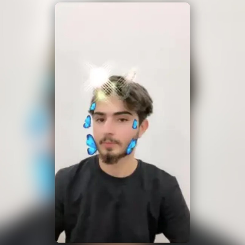 Butterfly Animated Filter by OMAR🖤 | Snapchat Lenses